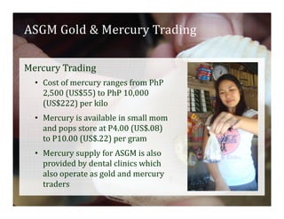 Reducing Mercury Pollution in Small-Scale Gold Mining Philippines 2011-2014 | PDF