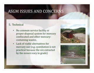 Reducing Mercury Pollution in Small-Scale Gold Mining Philippines 2011-2014 | PDF
