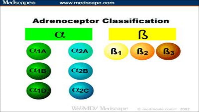 RECEPTORS-ADRENERGIC AND CHOLINERGIC | PPTX