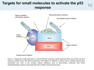 ASH2213Msc105M-oncology-p53-based Cancer Therapy.pptx