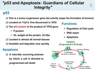 ASH2213Msc105M-oncology-p53-based Cancer Therapy.pptx
