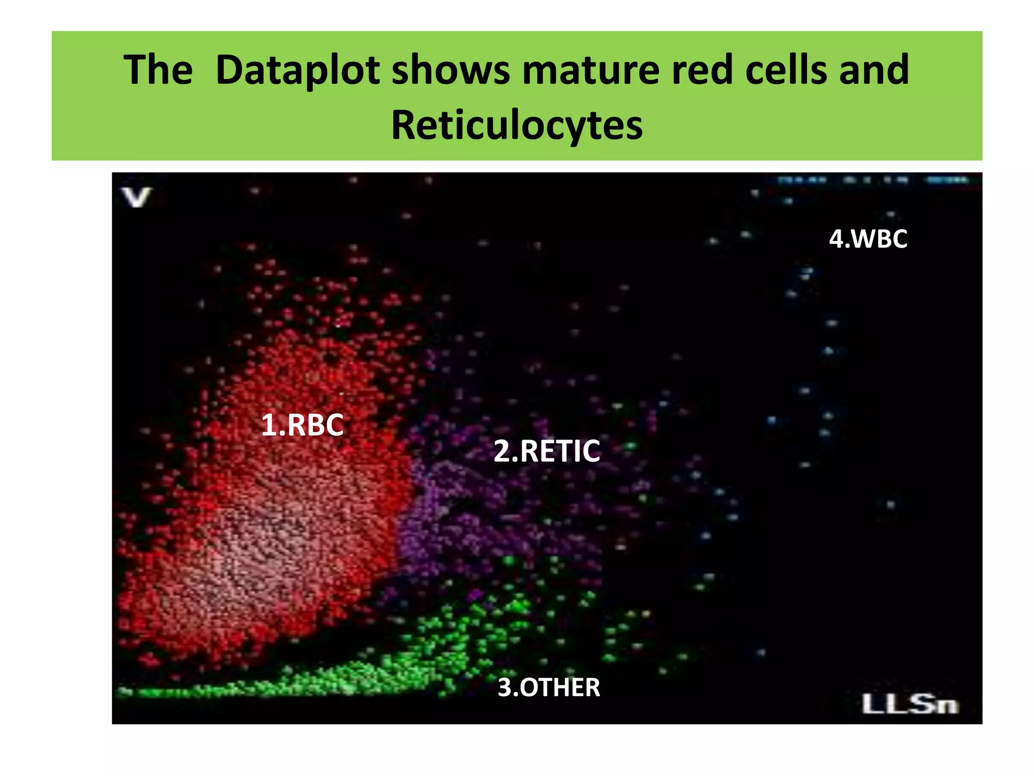 reticulocyte.pptx