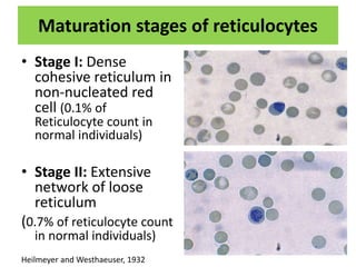 reticulocyte.pptx