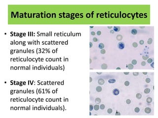reticulocyte.pptx
