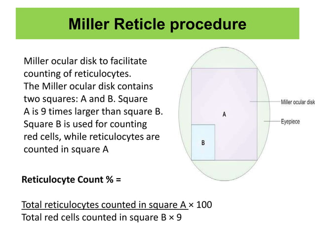 reticulocyte.pptx