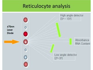 reticulocyte.pptx