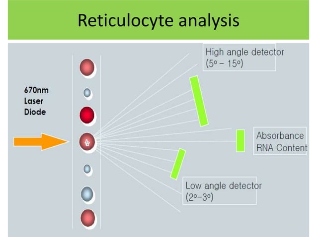reticulocyte.pptx
