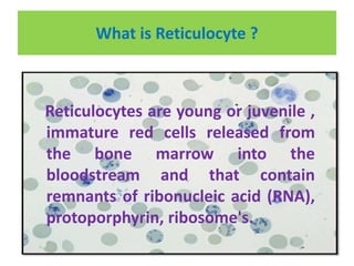 reticulocyte.pptx