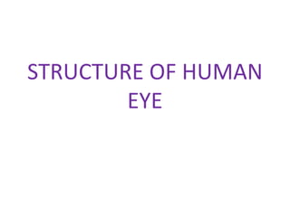 POWER POINT PRESENTATION | PPTX | Eye and Vision Conditions | Diseases ...