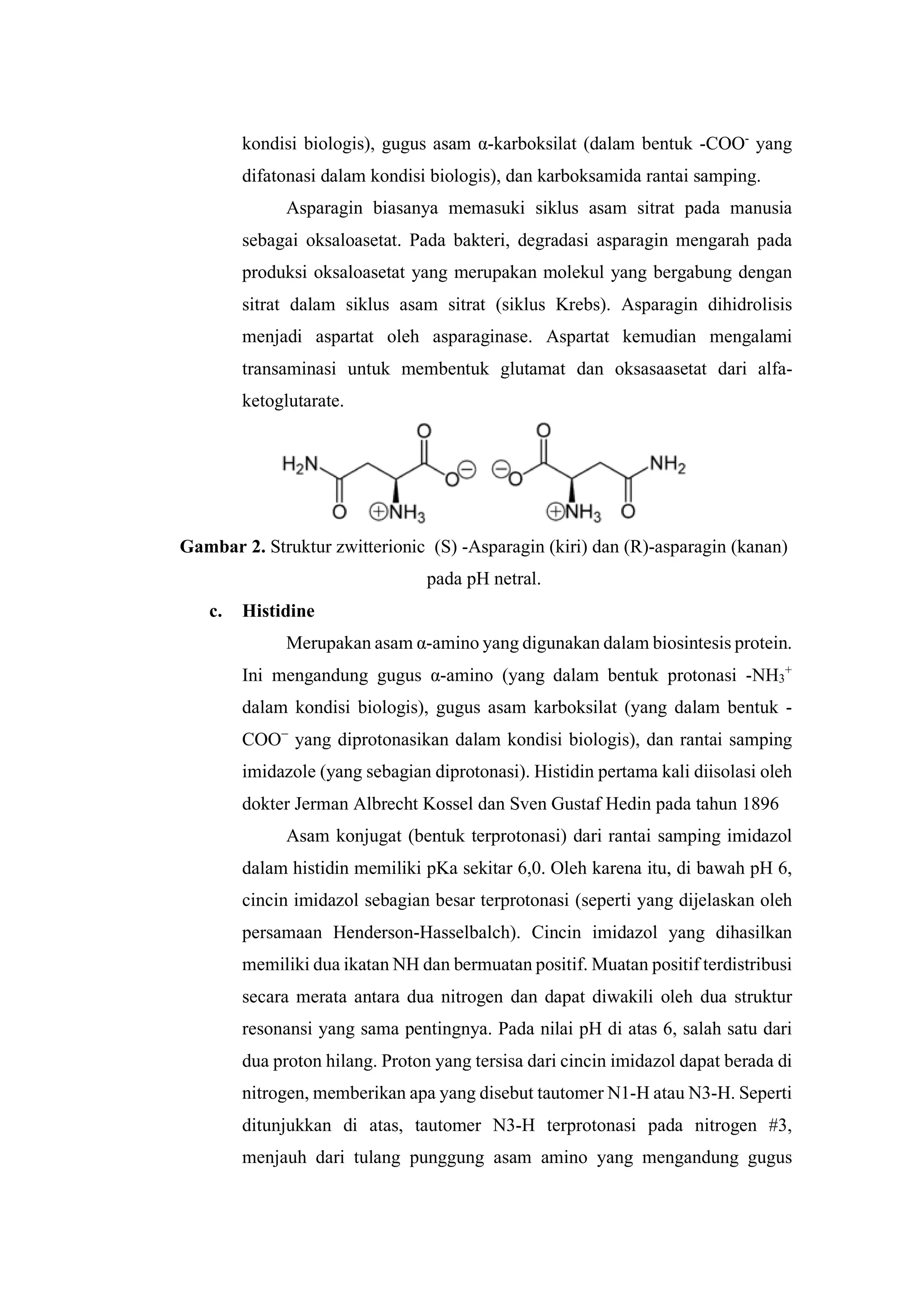 Laporan Resmi Praktikum Penentuan Jenis Asam Amino dalam Sampel.pdf