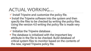 tripwire | PPT