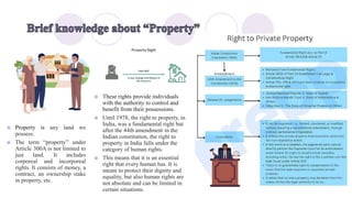 Property rights, Norms, and Standards.pdf