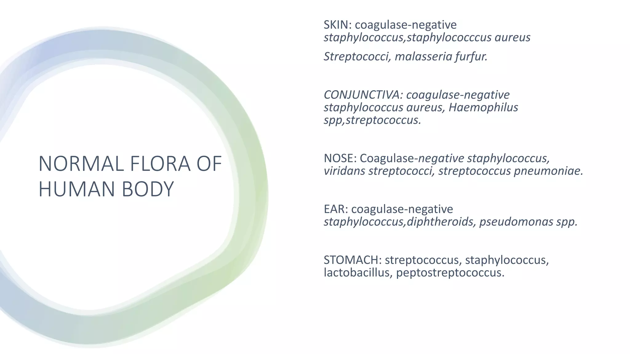 Normal microflora of the human body | PPTX