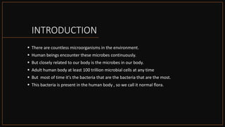 Normal microflora of the human body | PPT