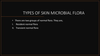 Normal microflora of the human body | PPT