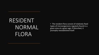 Normal microflora of the human body | PPT