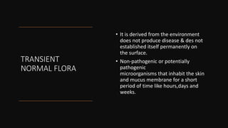 Normal microflora of the human body | PPT