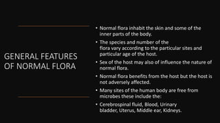 Normal microflora of the human body | PPT