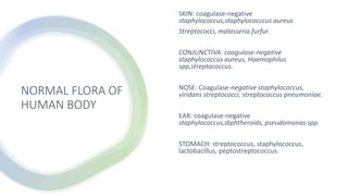 Normal microflora of the human body | PPT