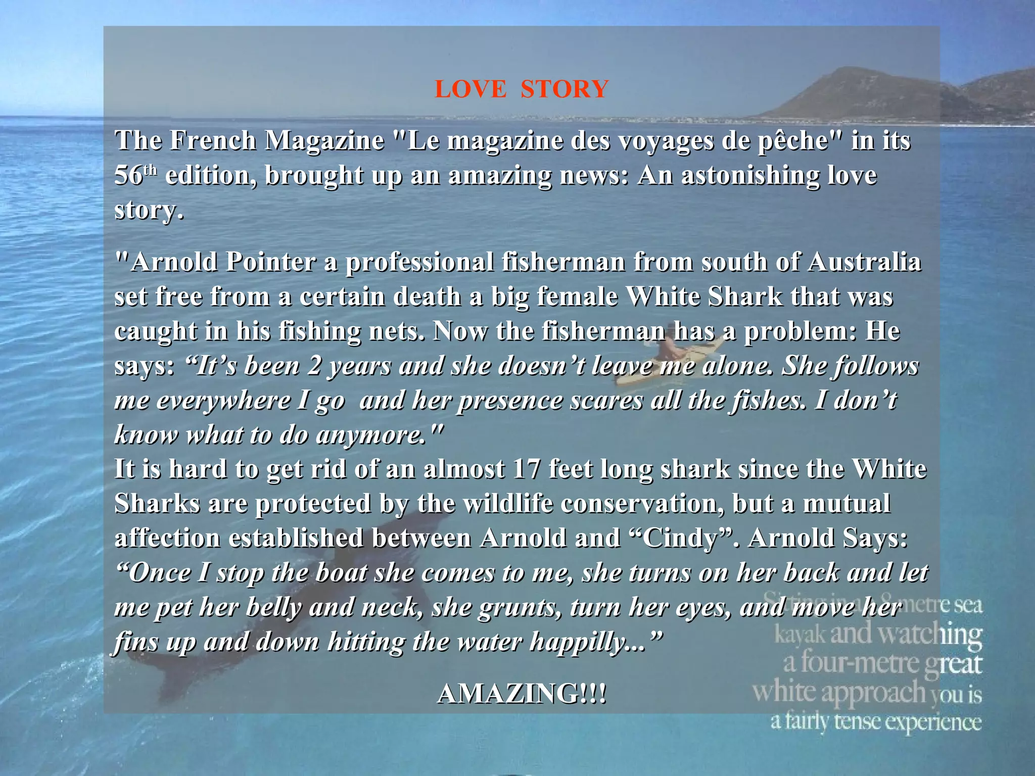 A shark s_love | PPS