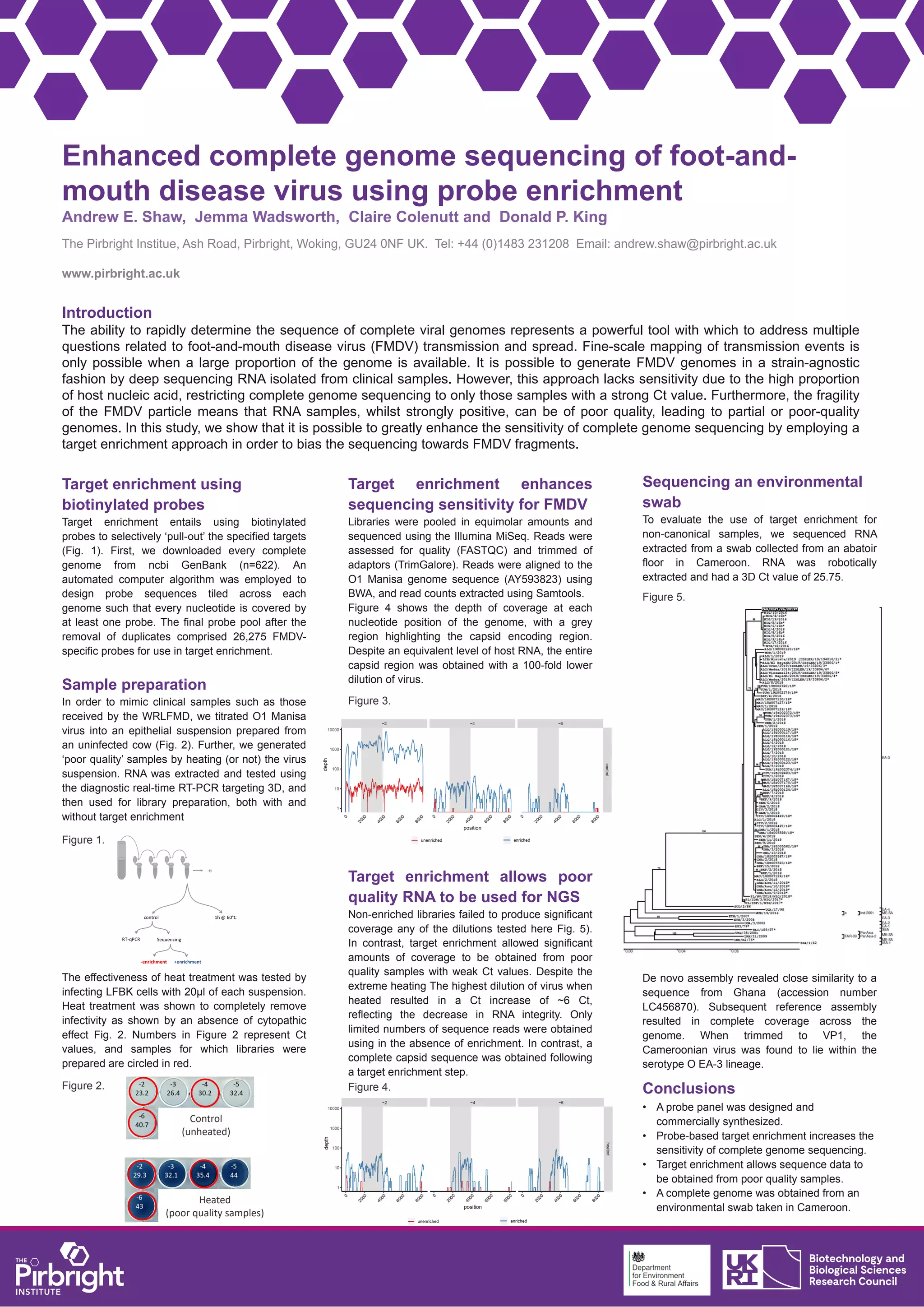 ENHANCED COMPLETE GENOME SEQUENCING OF FOOT-AND-MOUTH DISEASE VIRUS ...