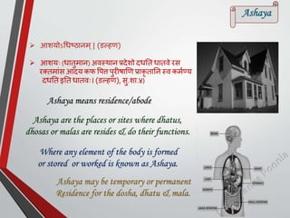 Ashaya sharira.pptx