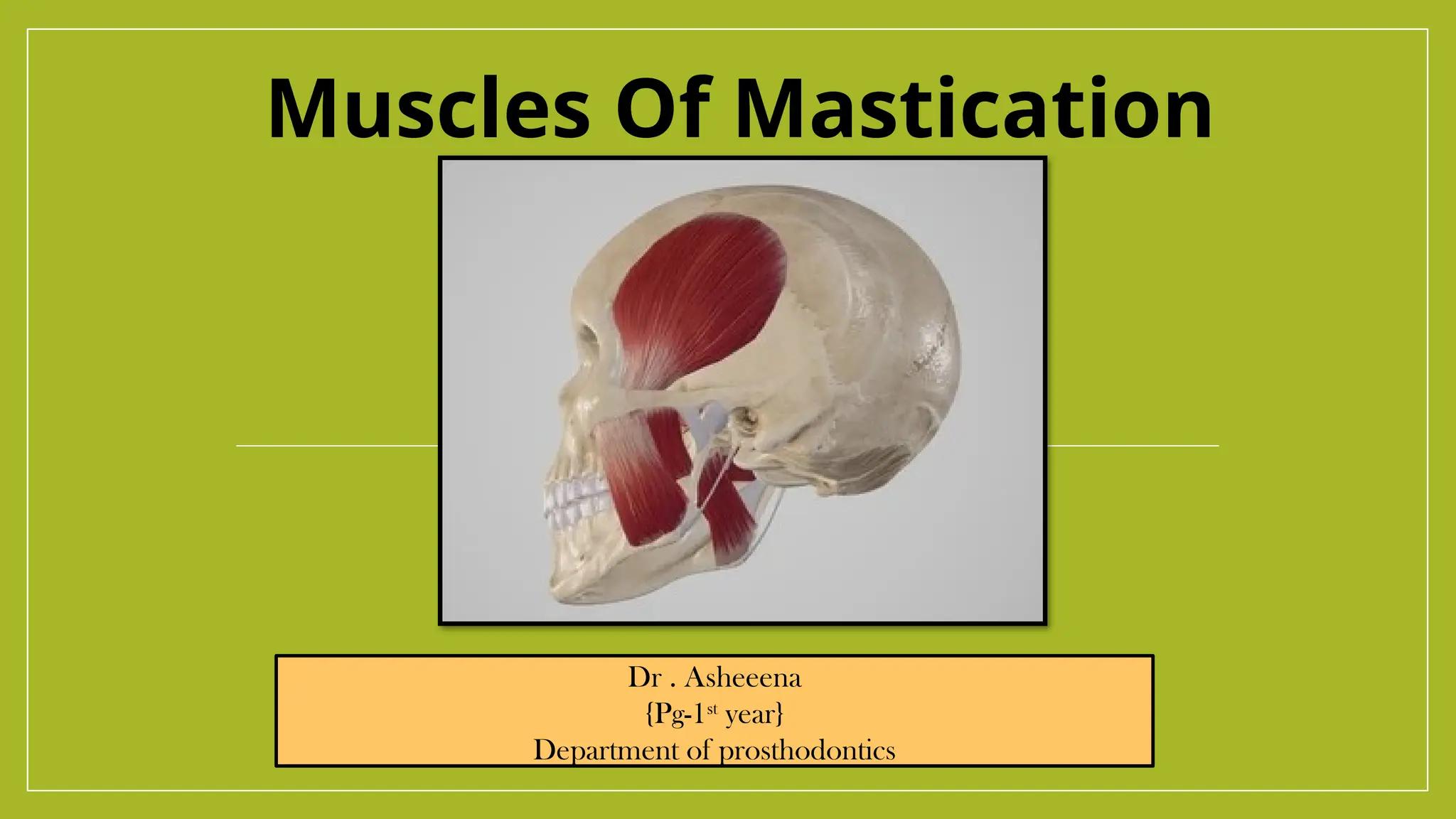 Muscles of Mastication AND ROLE IN PROSTHODONTICS | PPTX