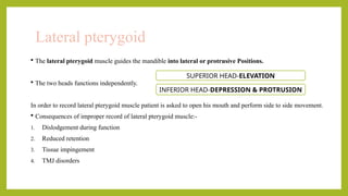 Muscles of Mastication AND ROLE IN PROSTHODONTICS | PPTX