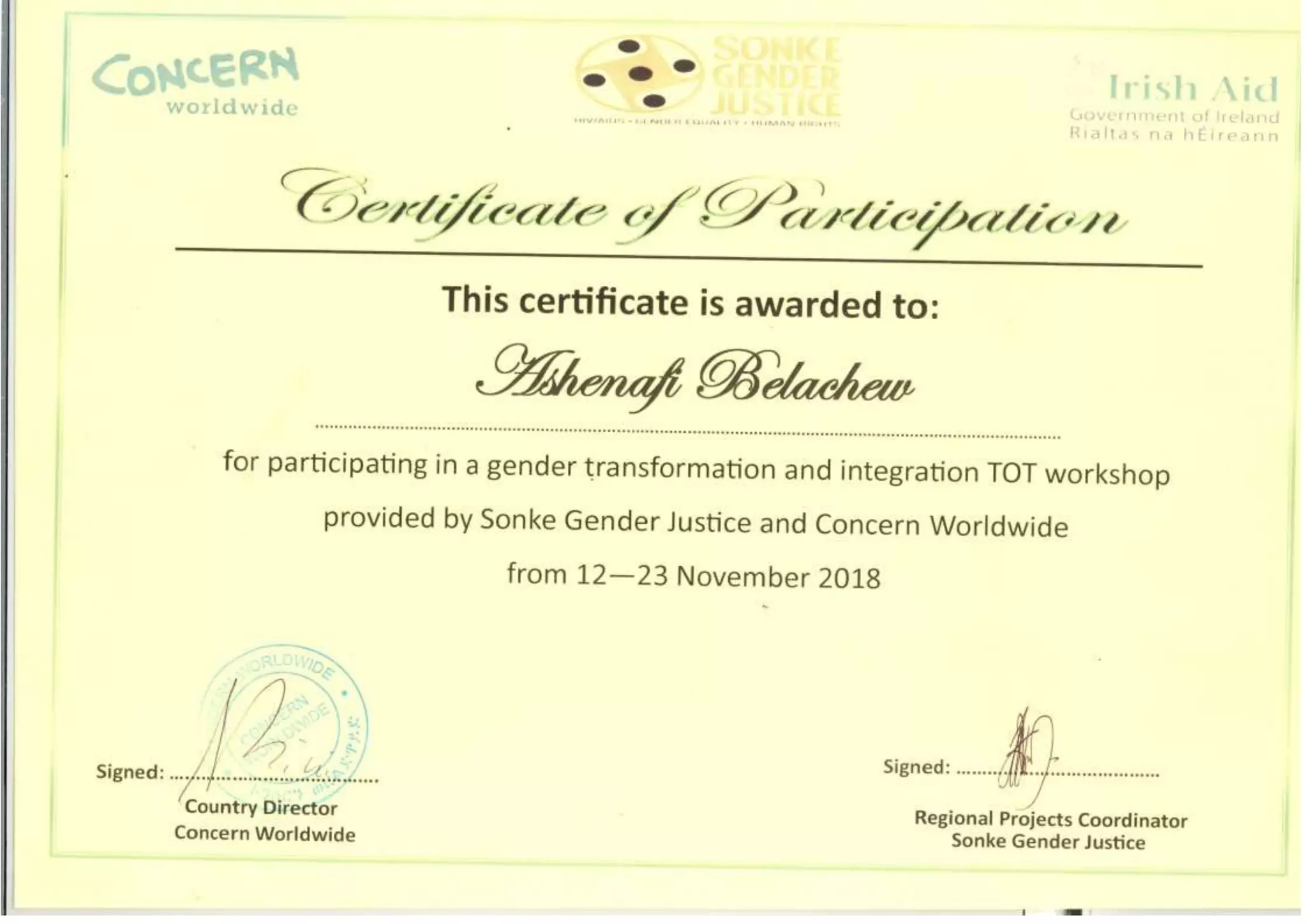 Ashenafi certificates | PDF