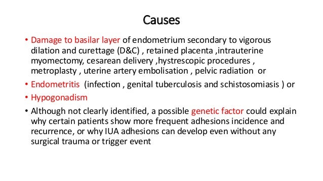 Asherman Syndrome