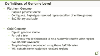 Creating Reference-Grade Human Genome Assemblies | PPT