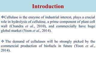 ASHIQ_PRE_PHD_PRESENTATION.characterization of cellulase for ...