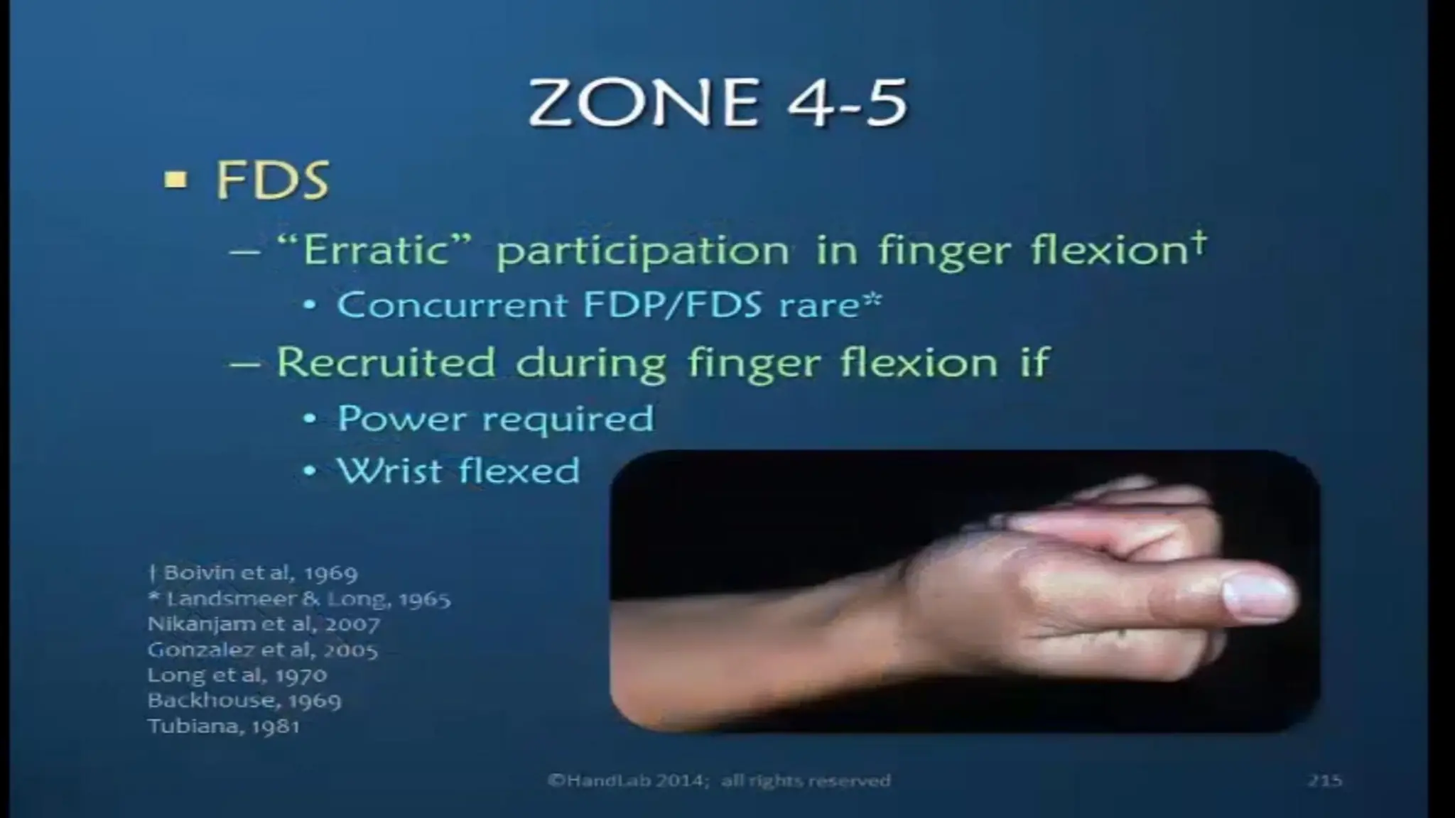 The zones of the hand flexor refer to anatomical areas of the hand ...