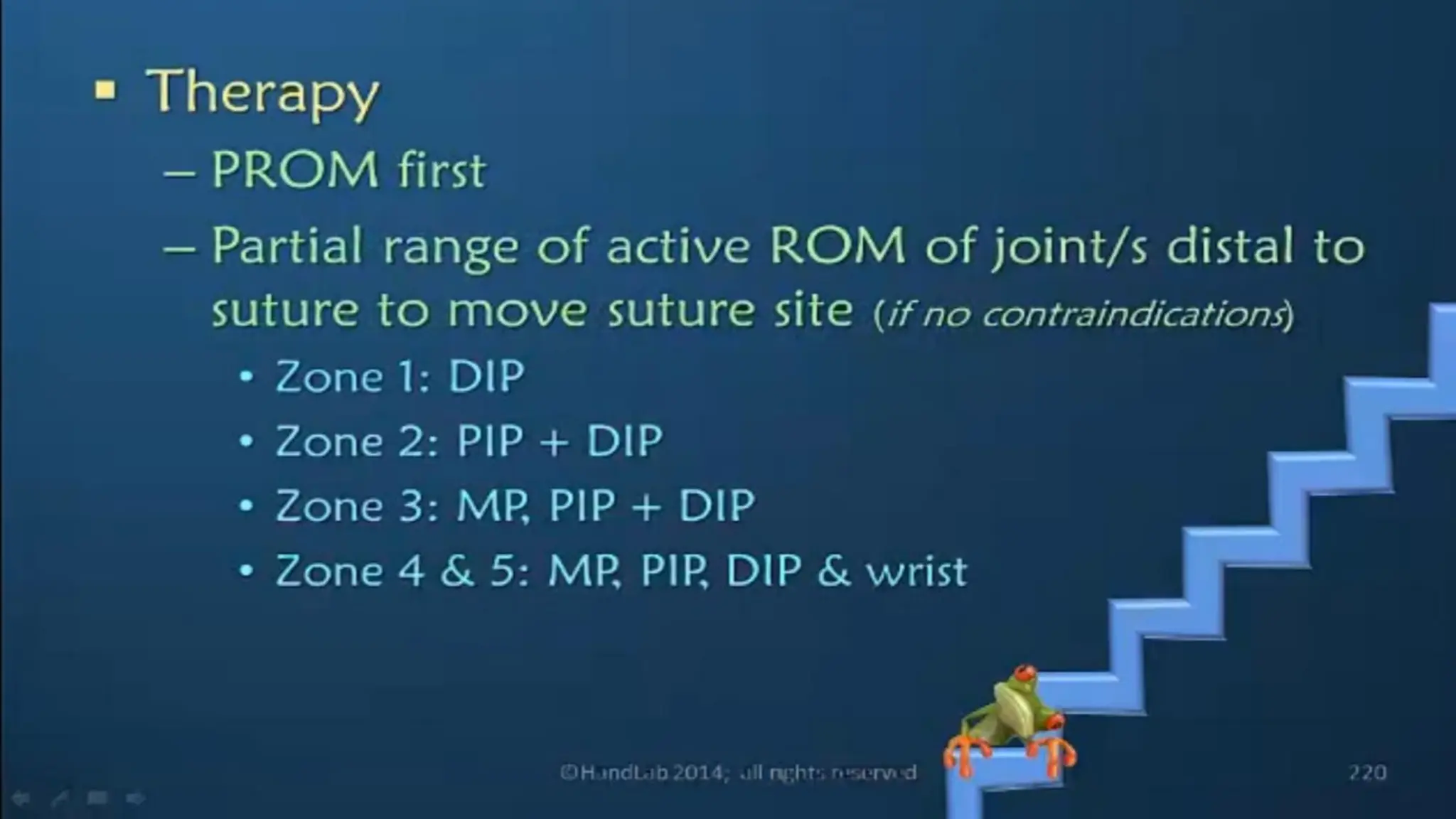 The zones of the hand flexor refer to anatomical areas of the hand ...