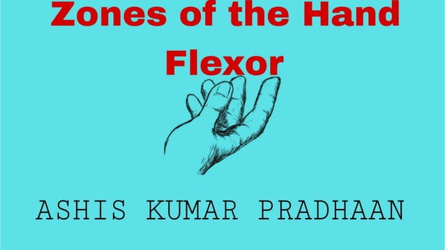 The zones of the hand flexor refer to anatomical areas of the hand ...