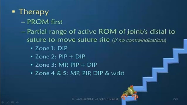 The zones of the hand flexor refer to anatomical areas of the hand ...