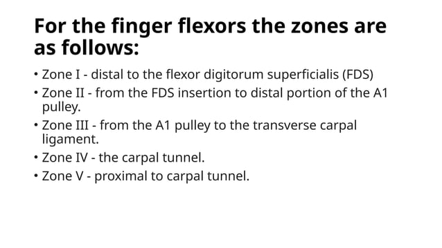 The zones of the hand flexor refer to anatomical areas of the hand ...