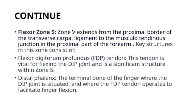 The zones of the hand flexor refer to anatomical areas of the hand ...