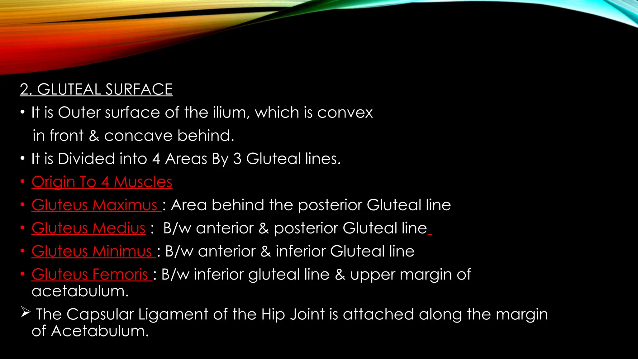 ILIUM BONE ANATOMY human body and function | PPTX