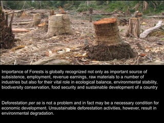 Forest Dependence, Livelihoods and Poverty - Class Assigment | PDF