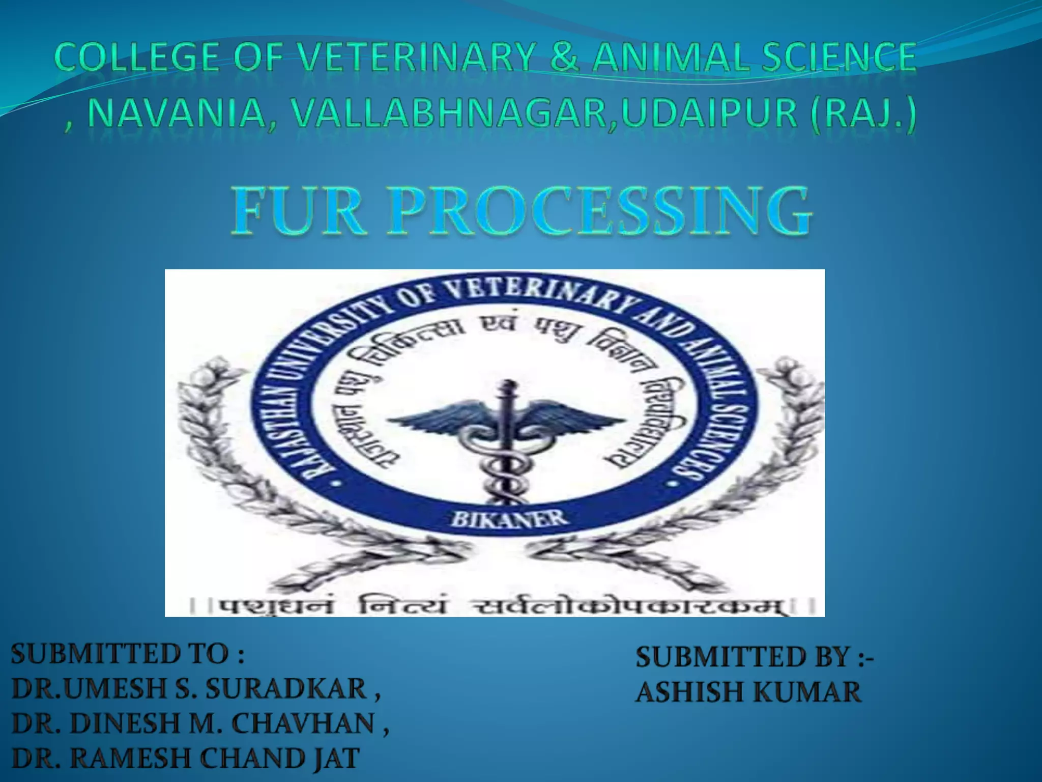 FUR PROCESSING LPT | PPTX