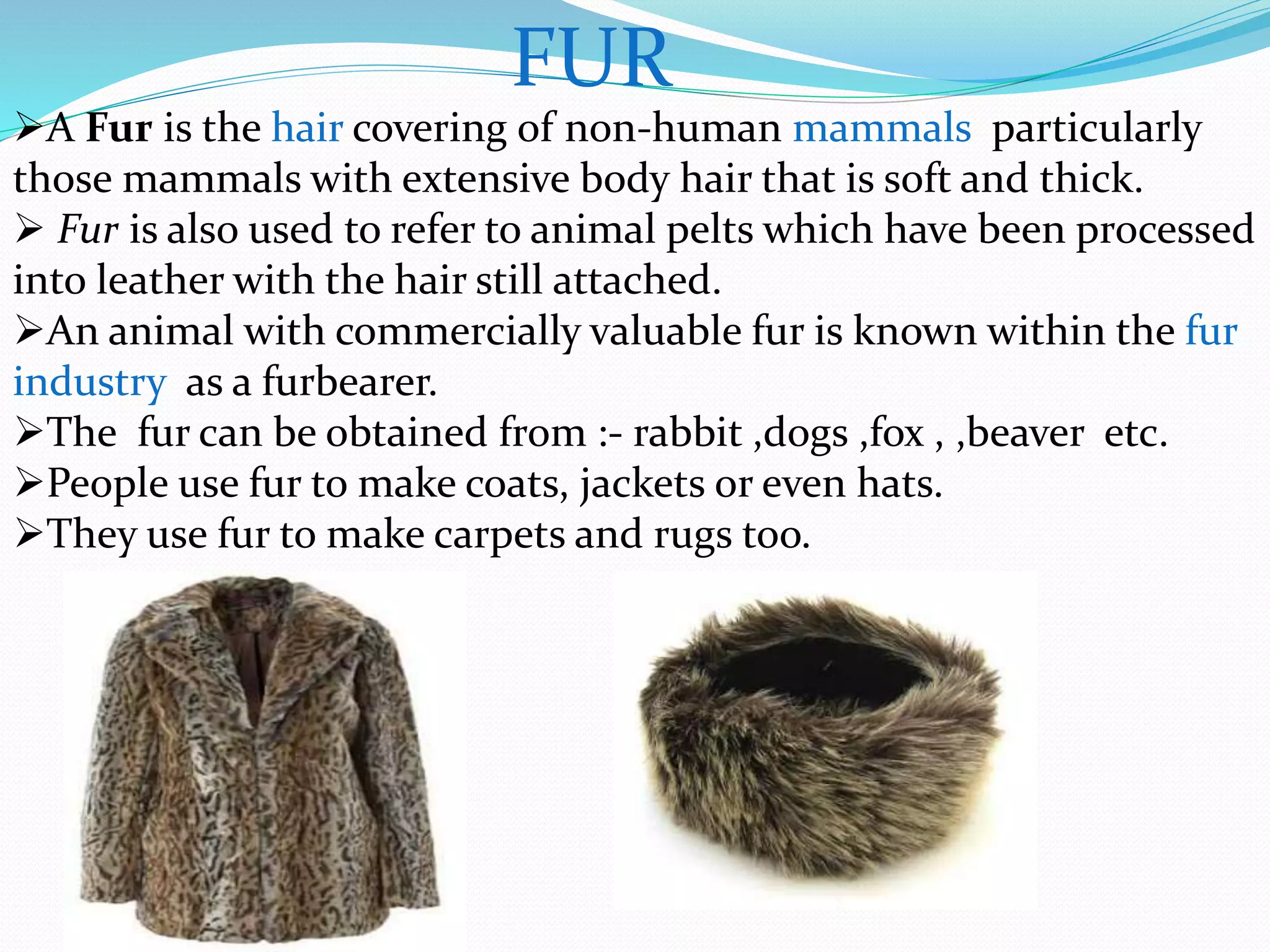 FUR PROCESSING LPT | PPTX