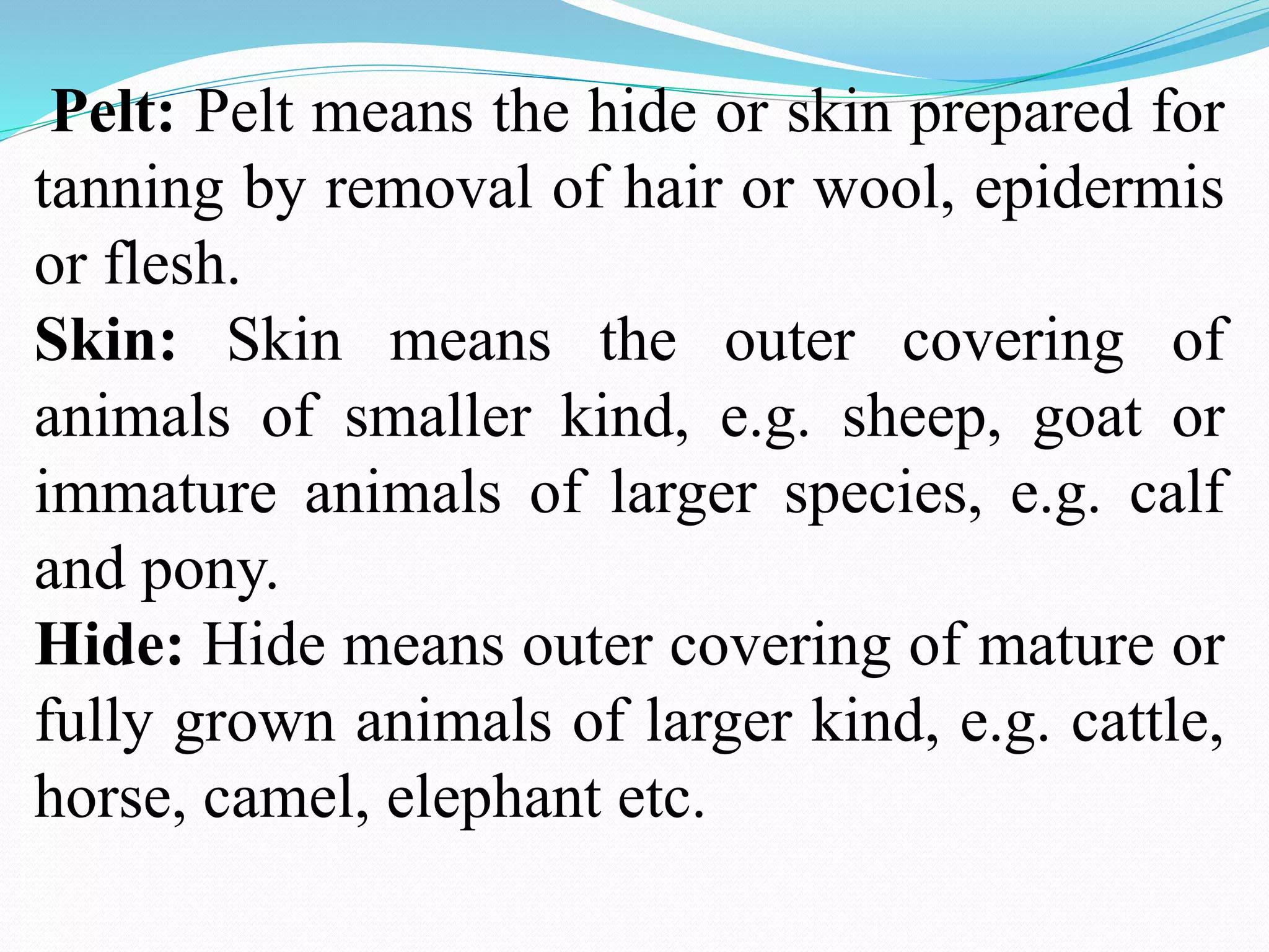 FUR PROCESSING LPT | PPTX