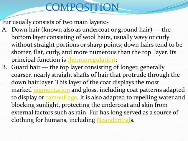 FUR PROCESSING LPT | PPTX | Shaving | Personal Care
