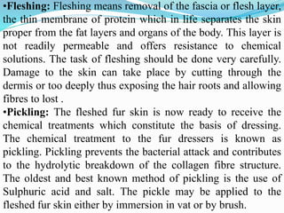 FUR PROCESSING LPT | PPTX