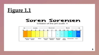 Ashish Mishra ppt.pptx