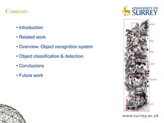 Visual Object Category Recognition | PDF | Artificial Intelligence ...