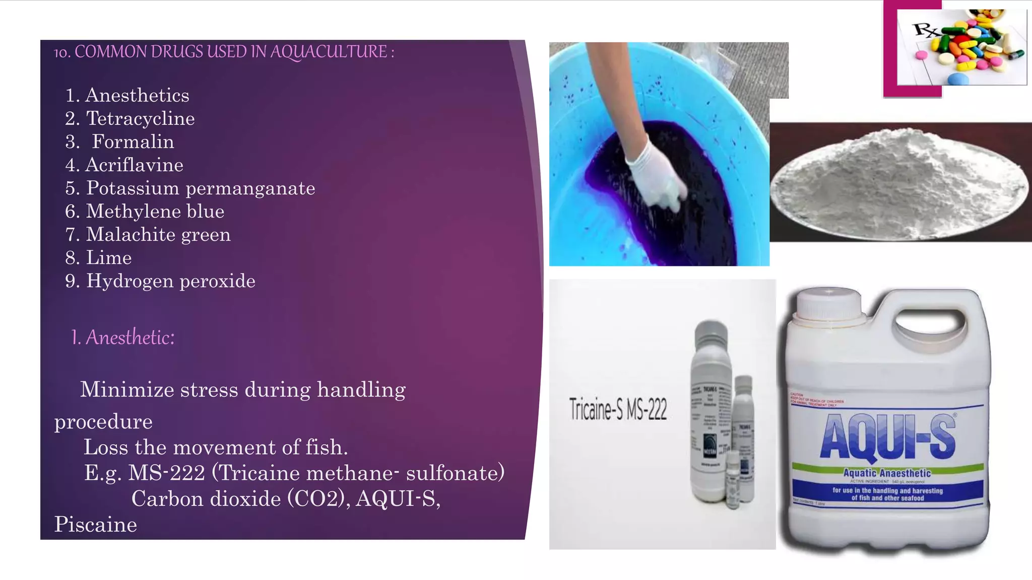 Fish pharmacology Ashish sahu | PPTX