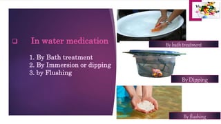 Fish pharmacology Ashish sahu | PPTX