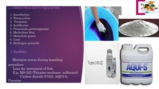 Fish pharmacology Ashish sahu | PPTX